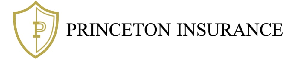Princeton Insurance Dallas Texas | Ensure Total Peace Of Mind