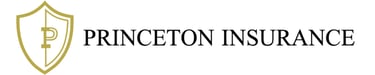 Princeton Insurance Dallas Texas | Ensure Total Peace Of Mind